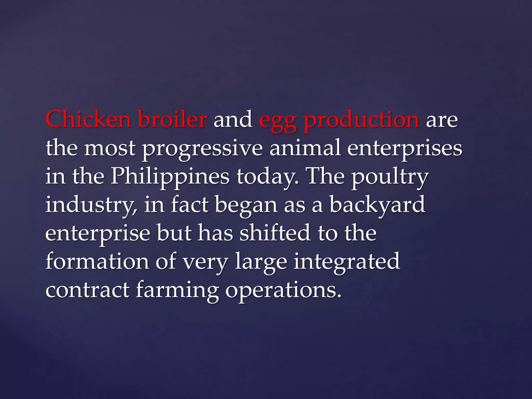 Chicken broiler.pptx