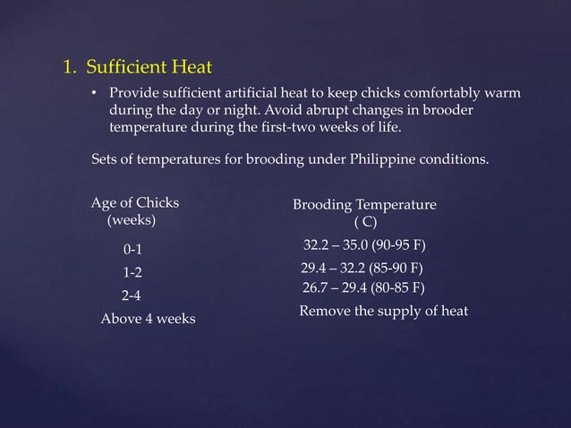 Chicken broiler.pptx