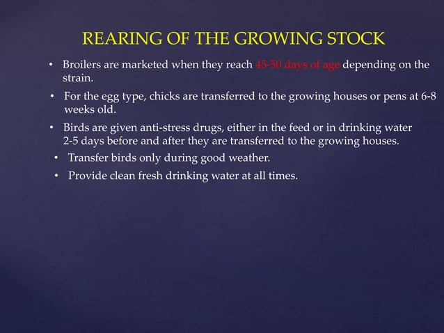 Chicken broiler.pptx
