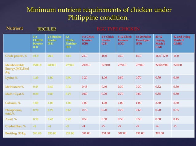 Chicken broiler.pptx