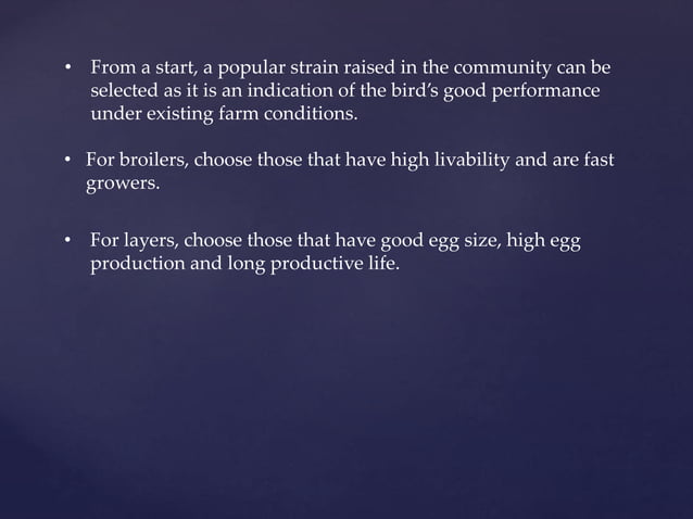 Chicken broiler.pptx