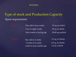 Chicken broiler.pptx