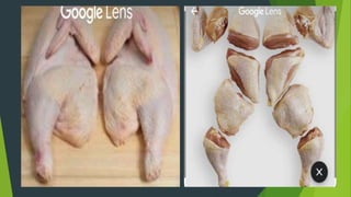 CHICKEN CUTS....pptx