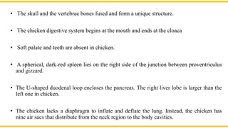 CHICKEN AS AN EXPERIMENTAL MODEL.PHARMACOLOGICAL SCREENING MODELS.pptx