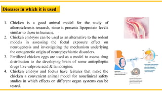 CHICKEN AS AN EXPERIMENTAL MODEL.PHARMACOLOGICAL SCREENING MODELS.pptx
