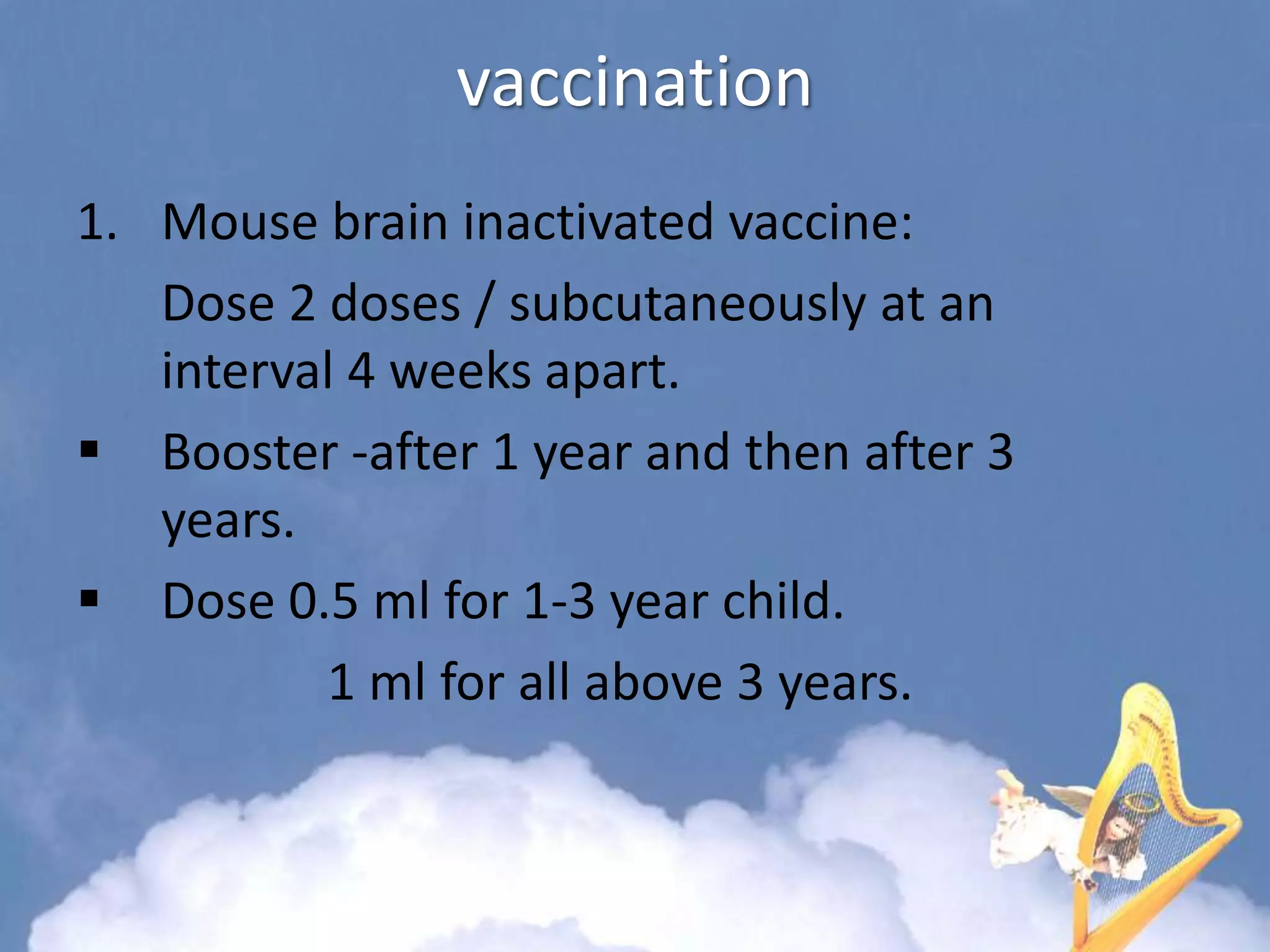 Chicken gunya and je | PPTX