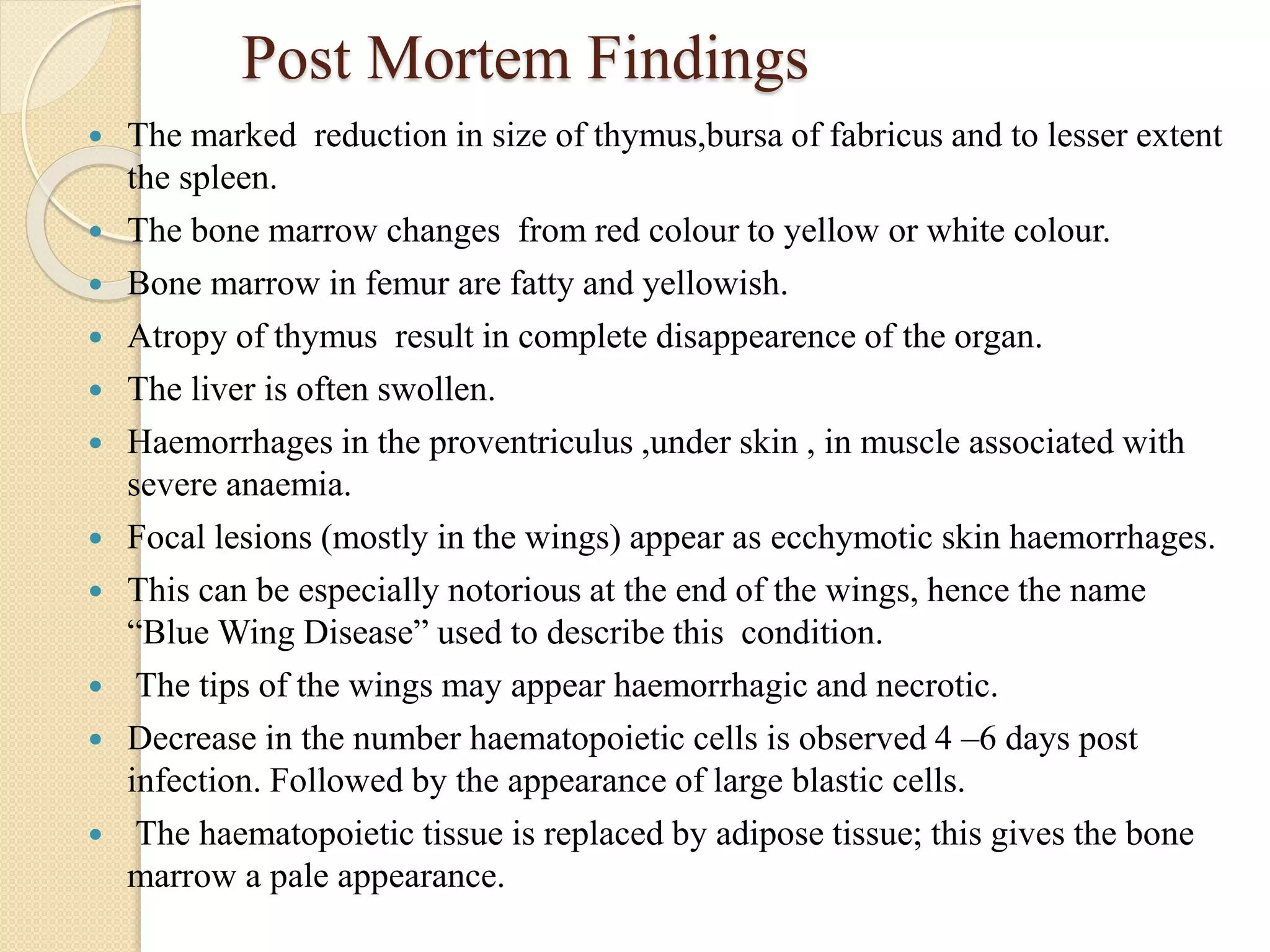 Chicken infectious anaemia | PPTX