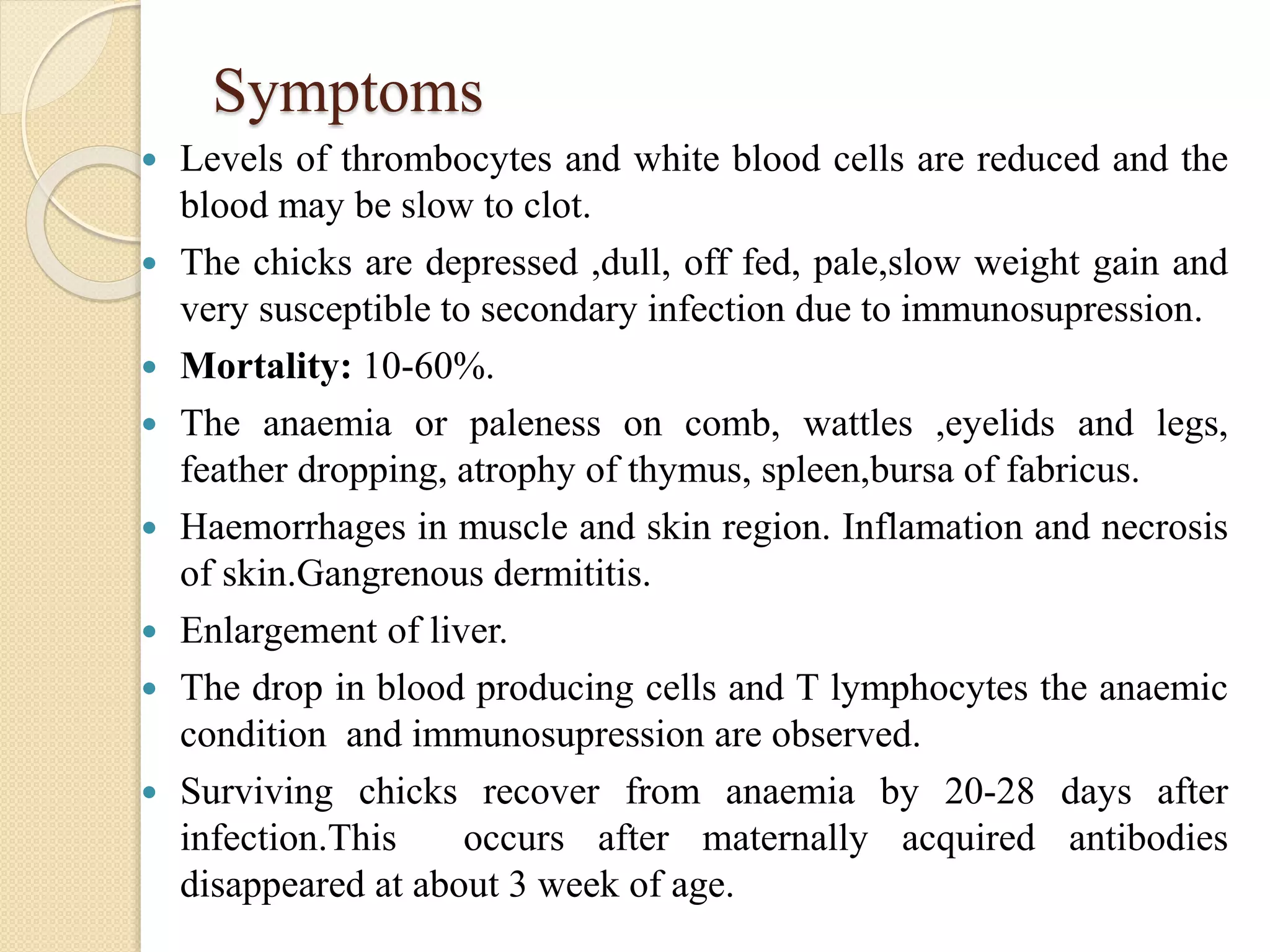 Chicken infectious anaemia | PPTX