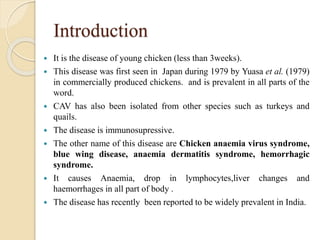 Chicken infectious anaemia | PPTX