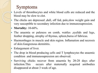 Chicken infectious anaemia | PPTX
