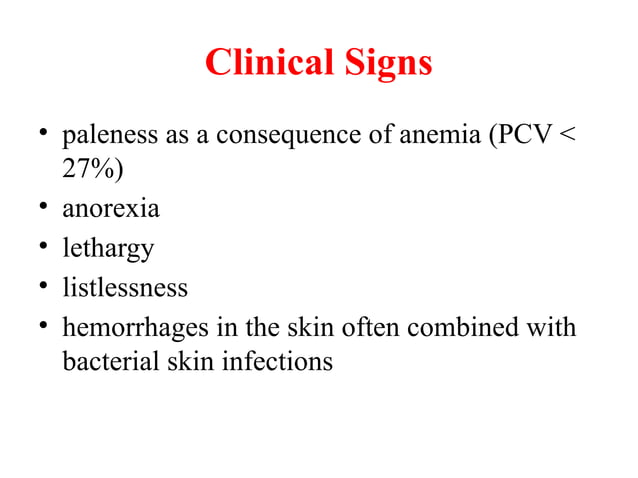 chicken infectious anemia veterinary.pptx