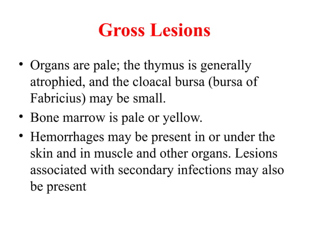chicken infectious anemia veterinary.pptx
