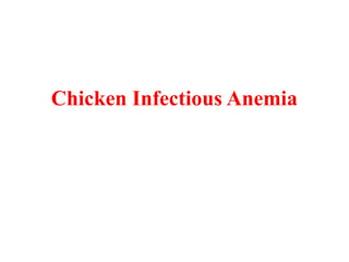 chicken infectious anemia veterinary.pptx