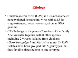 chicken infectious anemia veterinary.pptx