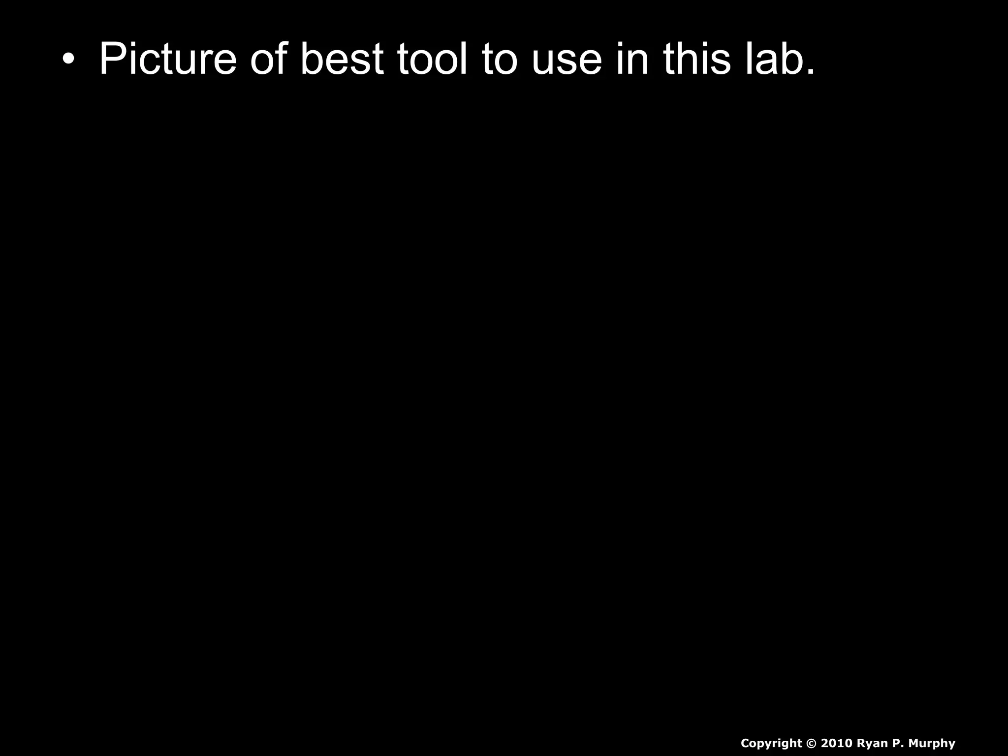 Chicken Leg Dissection PowerPoint, Muscular System, Skeletal System, | PPTX
