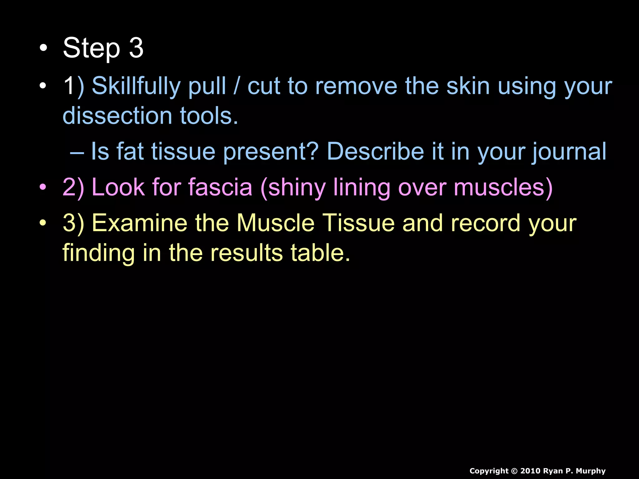 Chicken Leg Dissection PowerPoint, Muscular System, Skeletal System, | PPTX