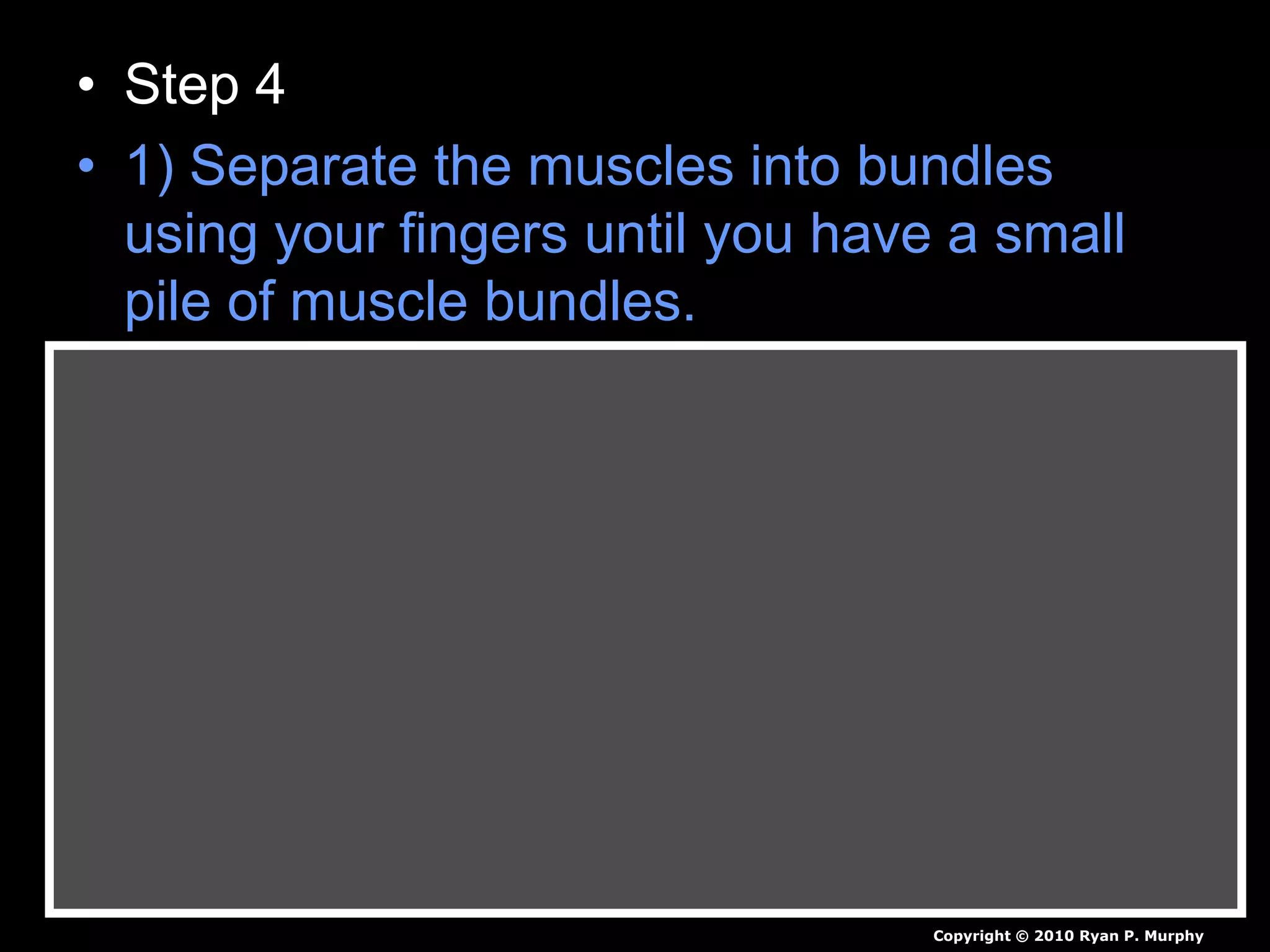 Chicken Leg Dissection PowerPoint, Muscular System, Skeletal System, | PPTX