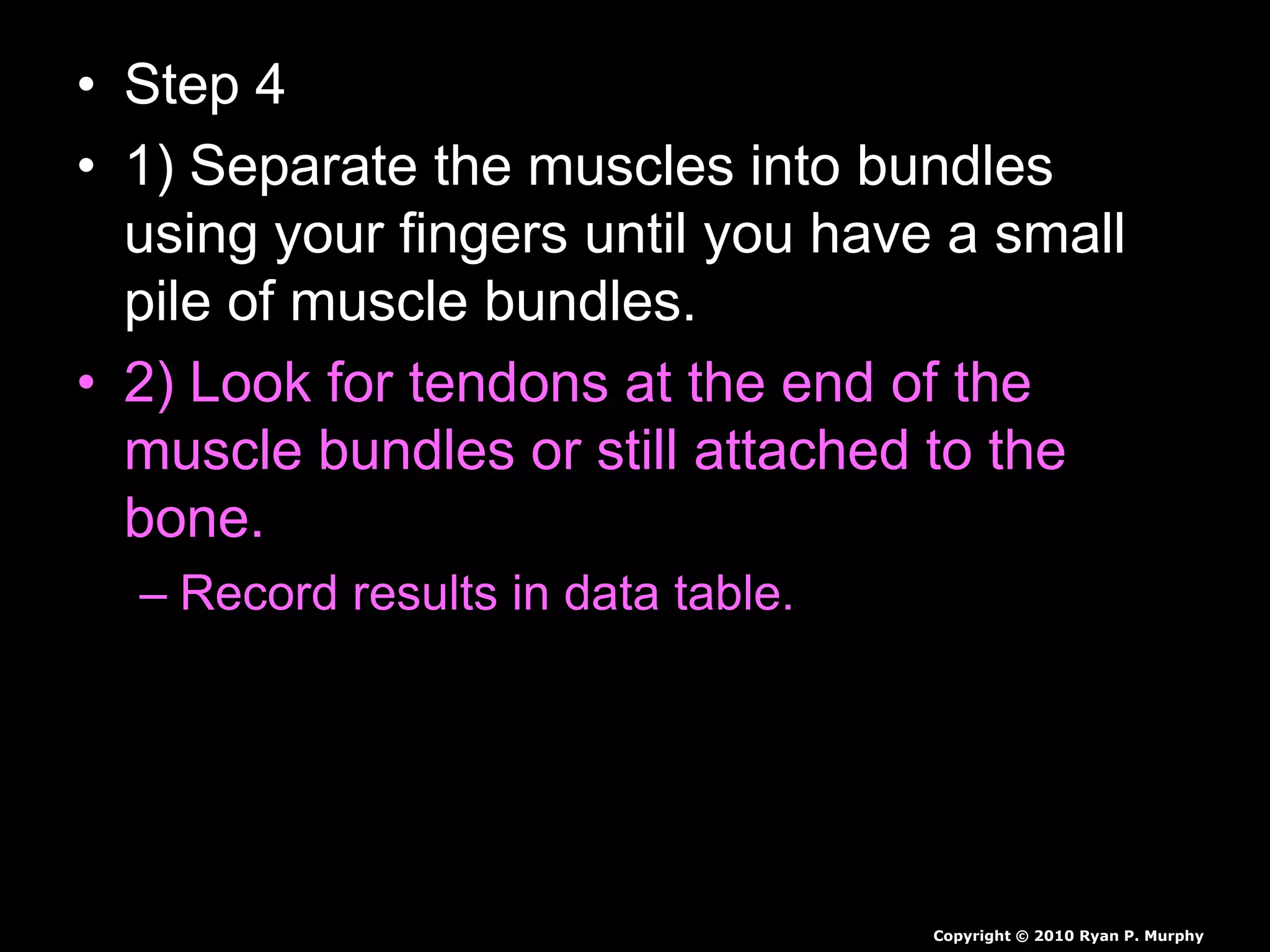 Chicken Leg Dissection PowerPoint, Muscular System, Skeletal System, | PPTX