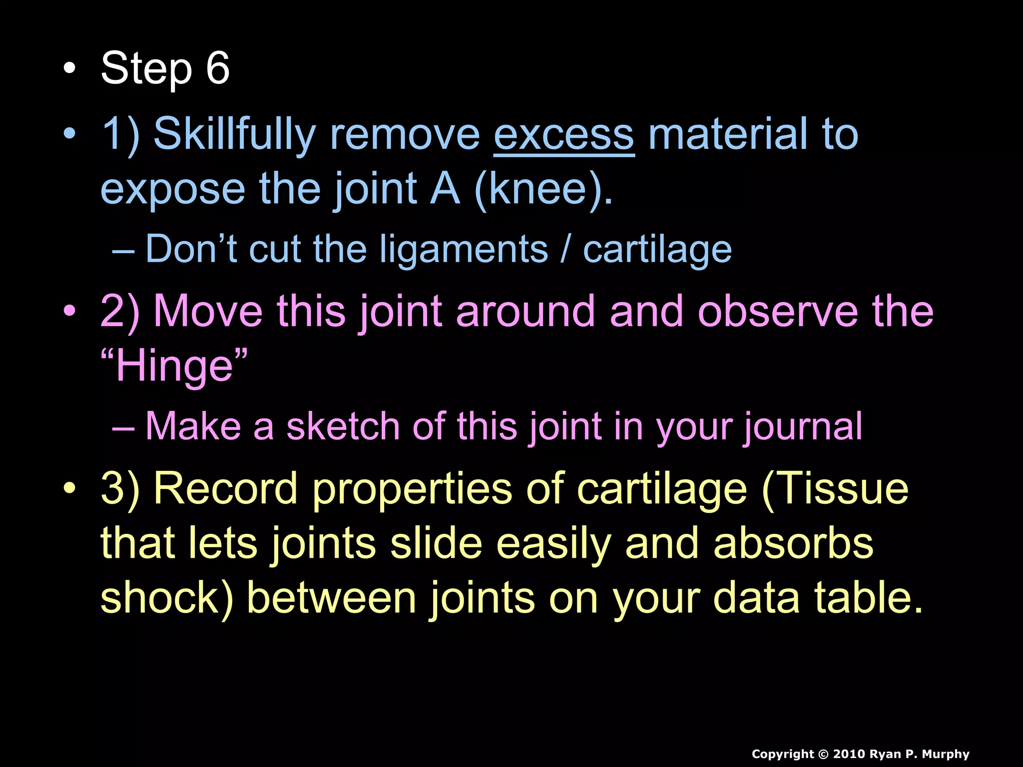 Chicken Leg Dissection PowerPoint, Muscular System, Skeletal System, | PPTX