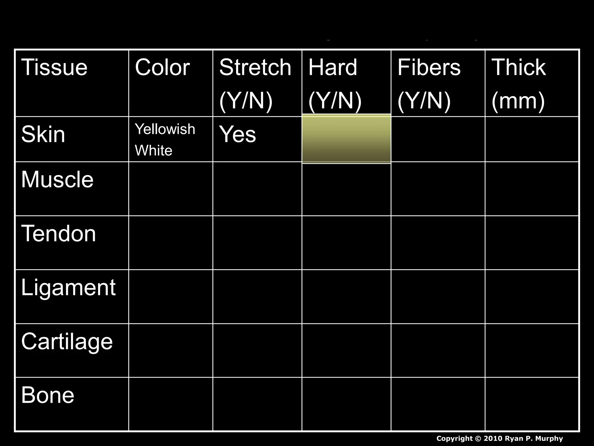 Chicken Leg Dissection PowerPoint, Muscular System, Skeletal System, | PPTX