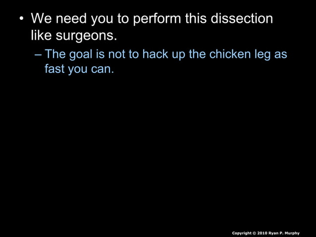 Chicken Leg Dissection PowerPoint, Muscular System, Skeletal System ...