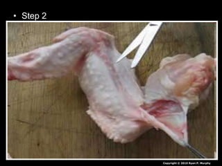 Chicken Leg Dissection PowerPoint, Muscular System, Skeletal System, | PPTX