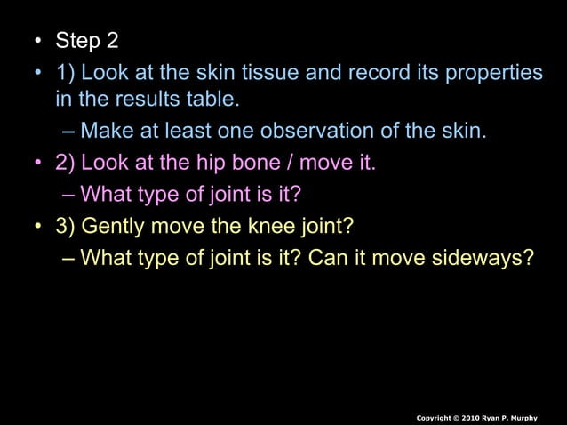 Chicken Leg Dissection PowerPoint, Muscular System, Skeletal System ...