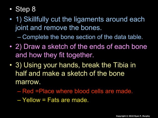 Chicken Leg Dissection PowerPoint, Muscular System, Skeletal System ...