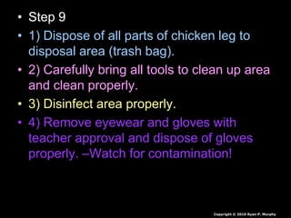 Chicken Leg Dissection PowerPoint, Muscular System, Skeletal System, | PPTX