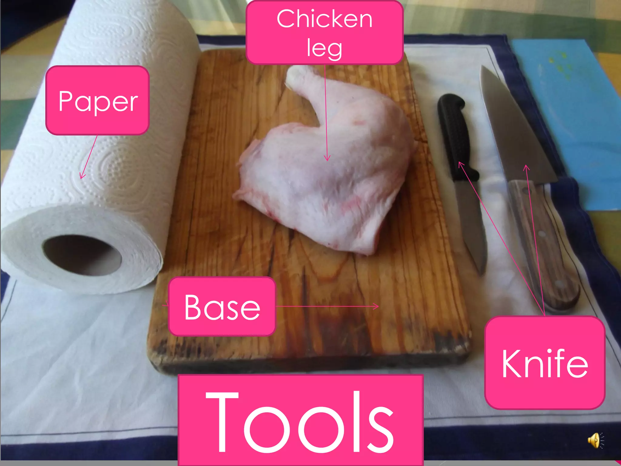 Chicken leg dissection. alumnos de 5º. victor corts y manuel garcia ...