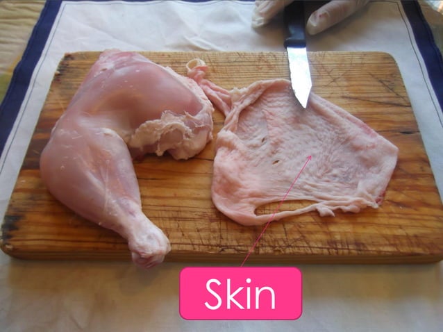 Chicken leg dissection. alumnos de 5º. victor corts y manuel garcia ...