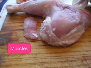 Chicken leg dissection. alumnos de 5º. victor corts y manuel garcia ...