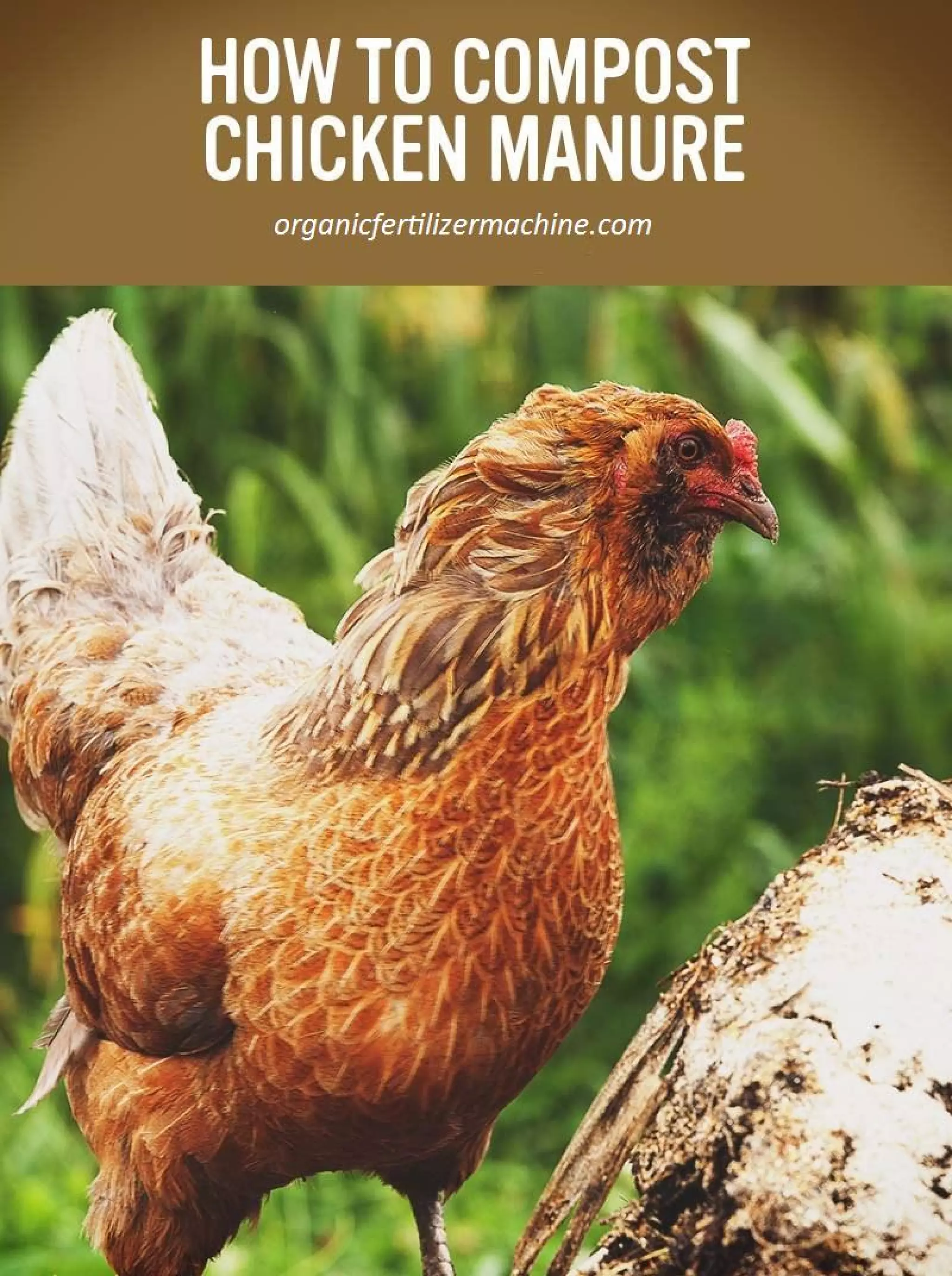 Chicken manure fertilizer | PDF