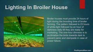 Chicken meat (broiler farming) | PPTX