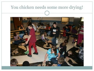 Chicken mummification | PPT