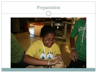 Chicken mummification | PPT