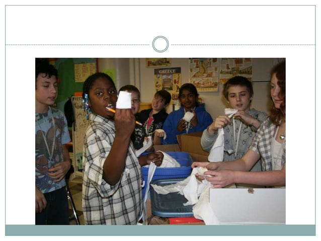 Chicken mummification | PPT