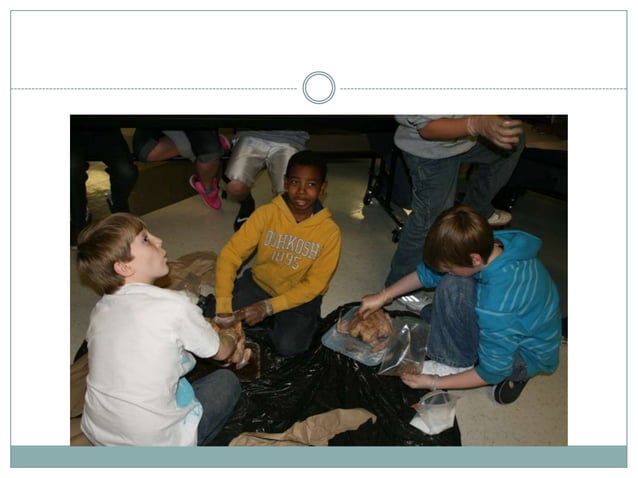 Chicken mummification | PPT