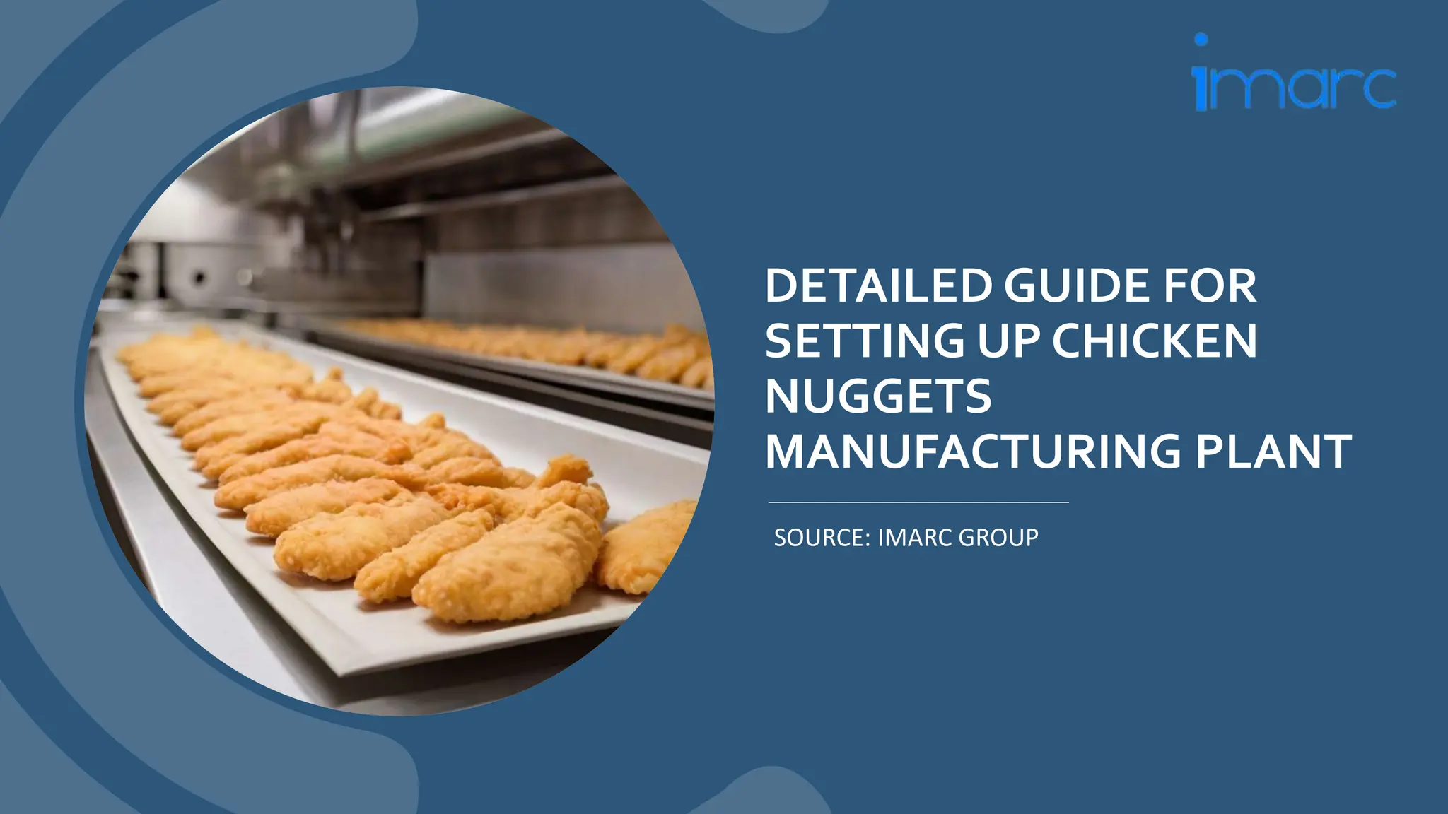 Chicken Nuggets Manufacturing Plant Project Report.pptx