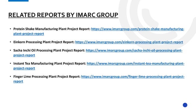 Chicken Nuggets Manufacturing Plant Project Report.pptx | Agriculture | Industries