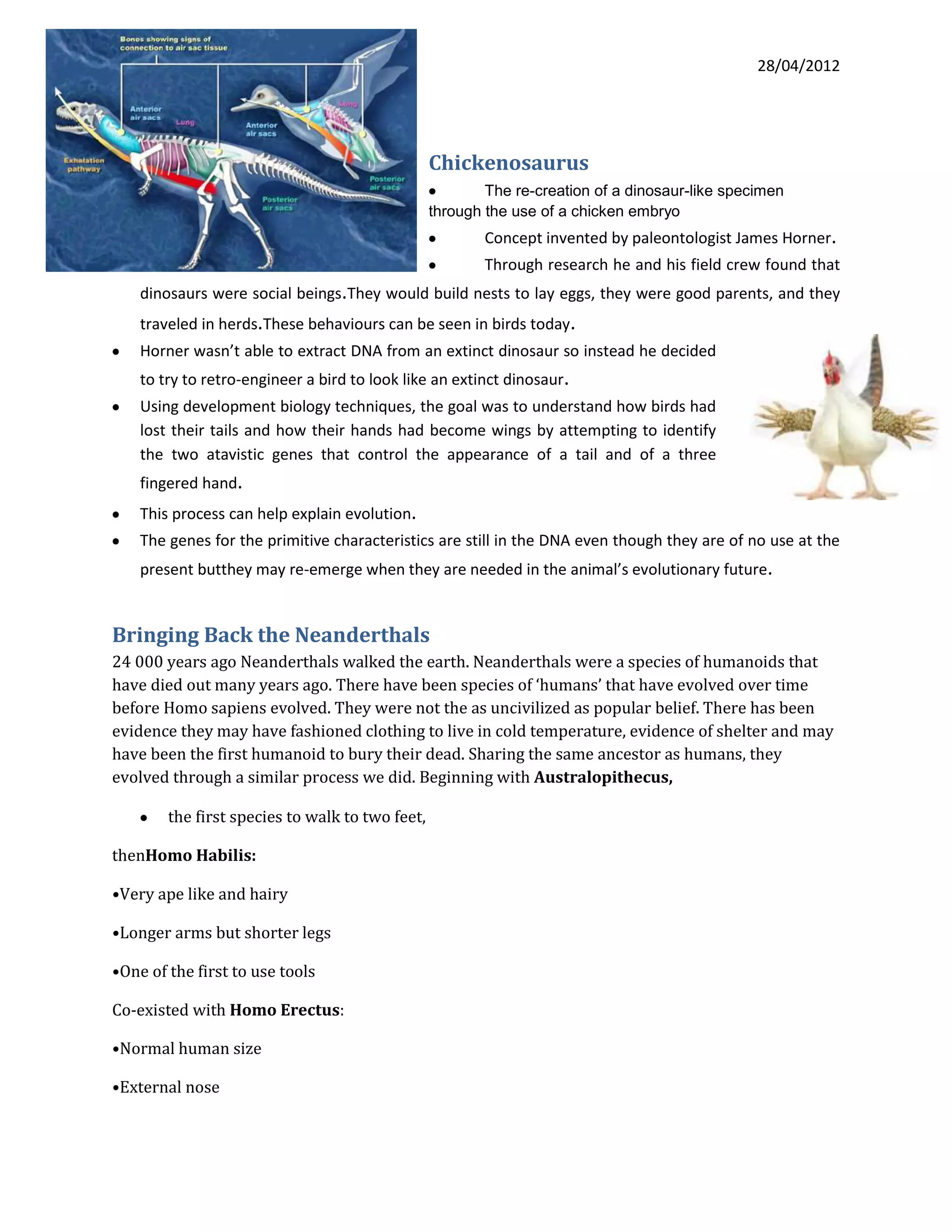 Chickenosaurus and neanderthal notes | DOCX