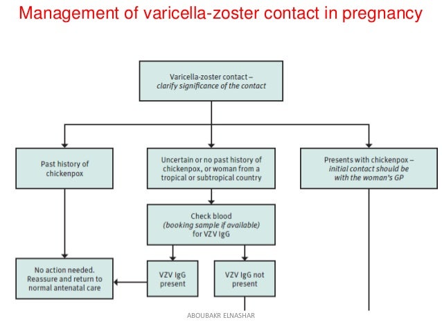 Chickenpox In Pregnancy