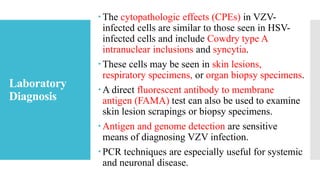 Chickenpox (Varicella) | PPTX