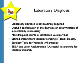 Chickenpox Presentation | PPT