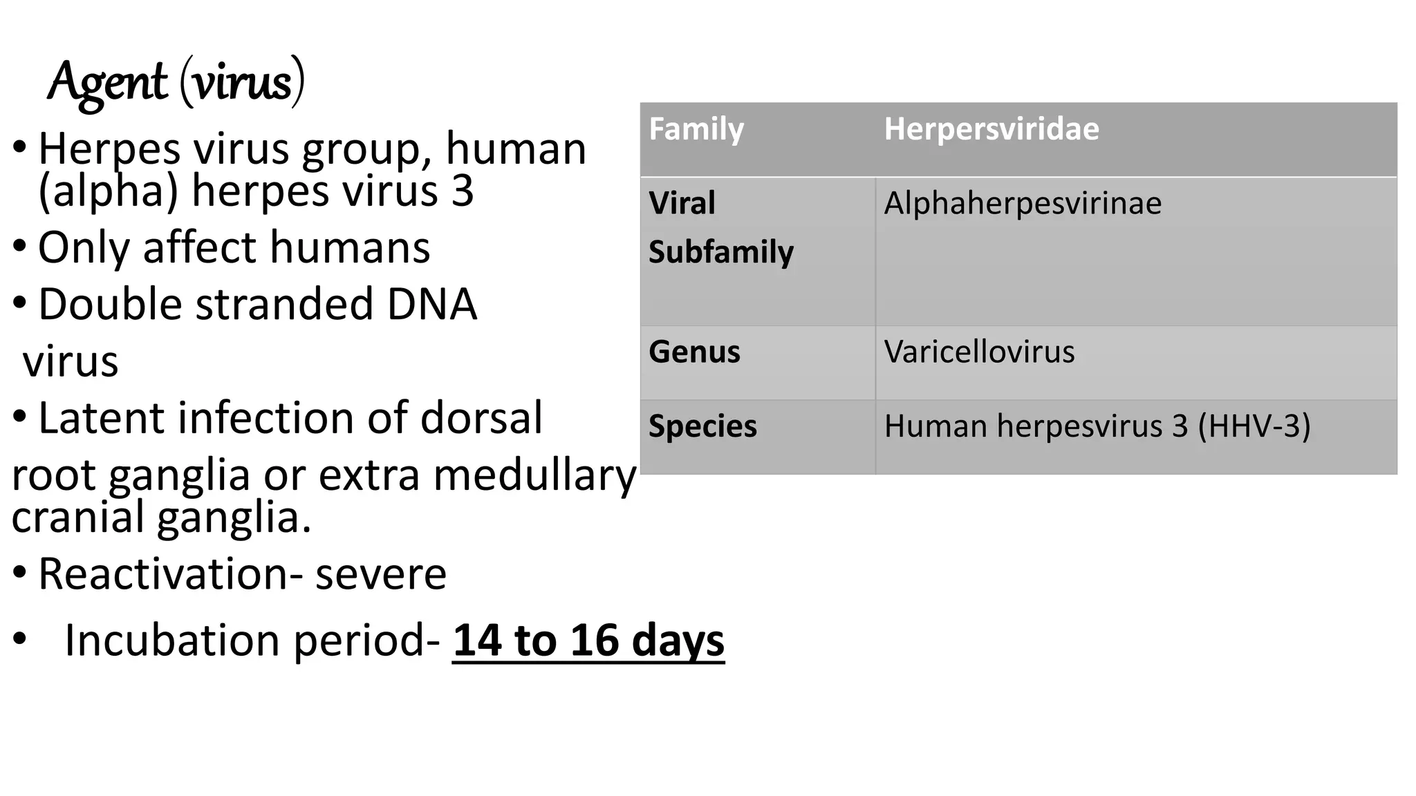 Chickenpox Varicella zoster virus.VZV FIJI | PPTX