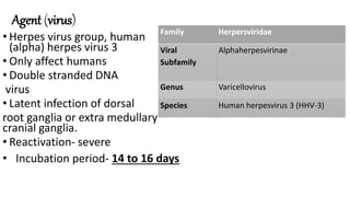 Chickenpox Varicella zoster virus.VZV FIJI | PPTX