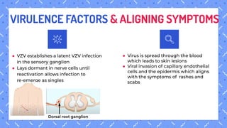 Chickenpox Disease Project (1).pdf