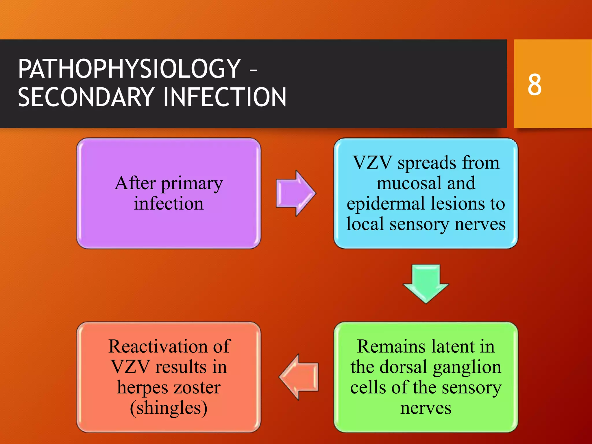 Chicken pox & Shingles | PPTX