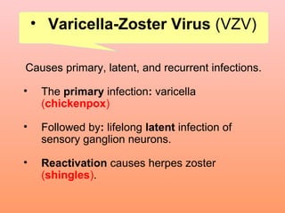 Chickenpox with pregnancy | PPT