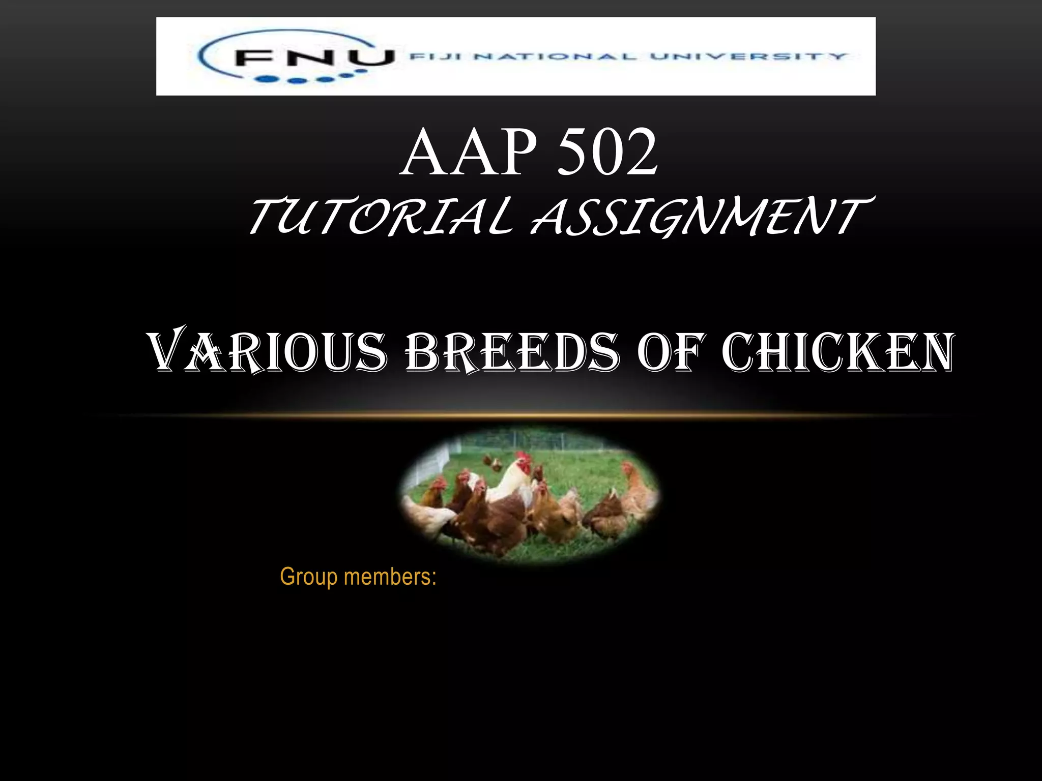 Chicken presentation | PPTX
